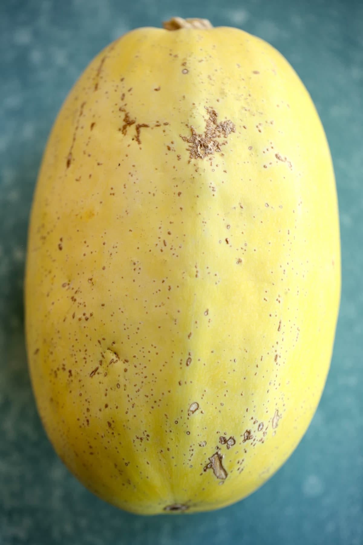 How to Tell If Squash is Bad: A Simple Guide