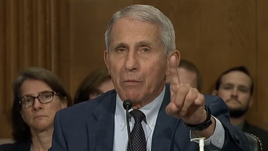 The Fight or Flight Response - by Louis Conte