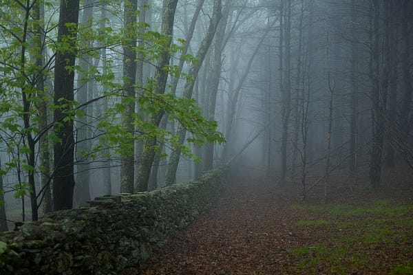 The Noah Kalina Newsletter | Substack