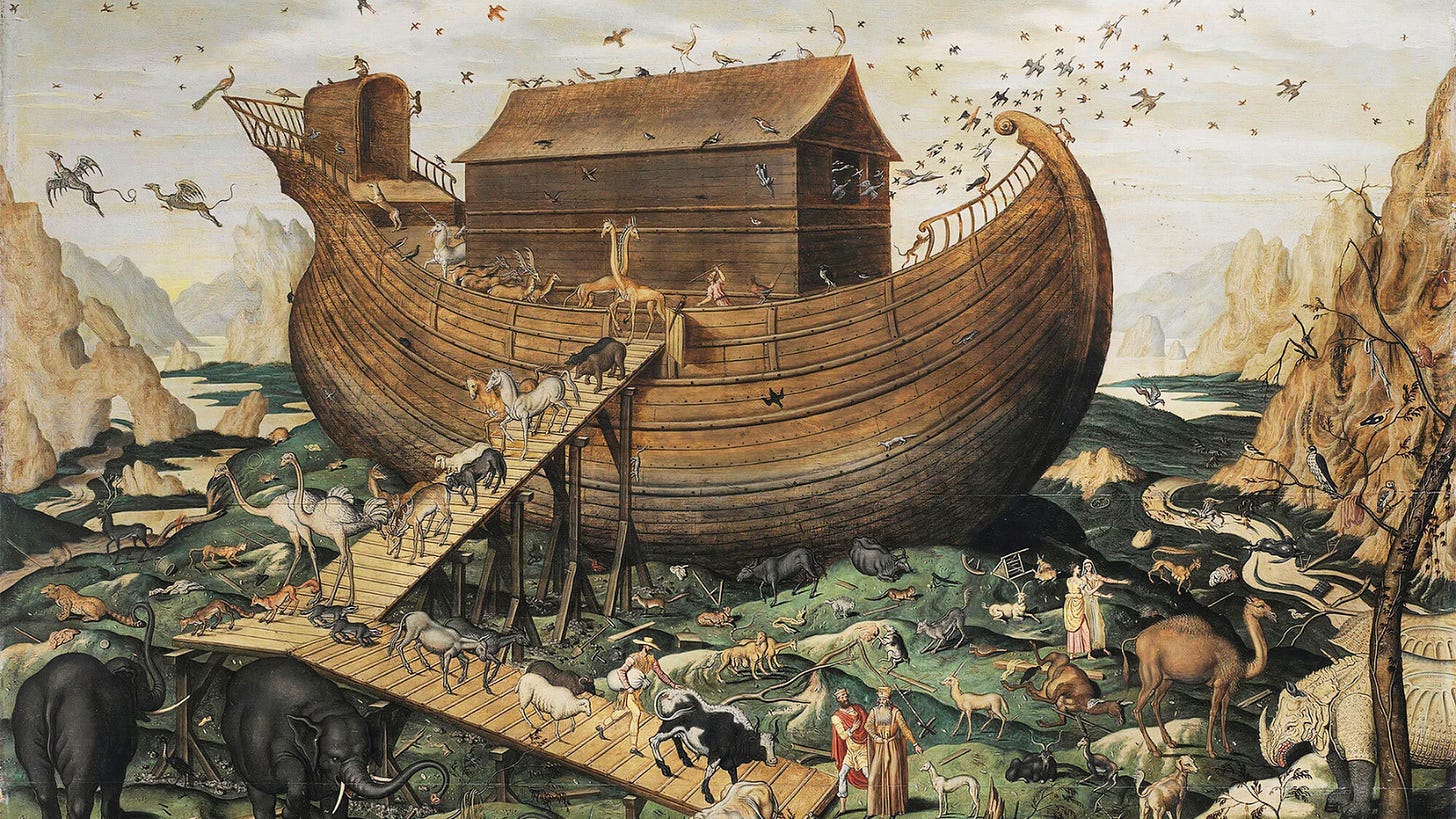 Why did Noah send out a raven, then a dove from the ark?