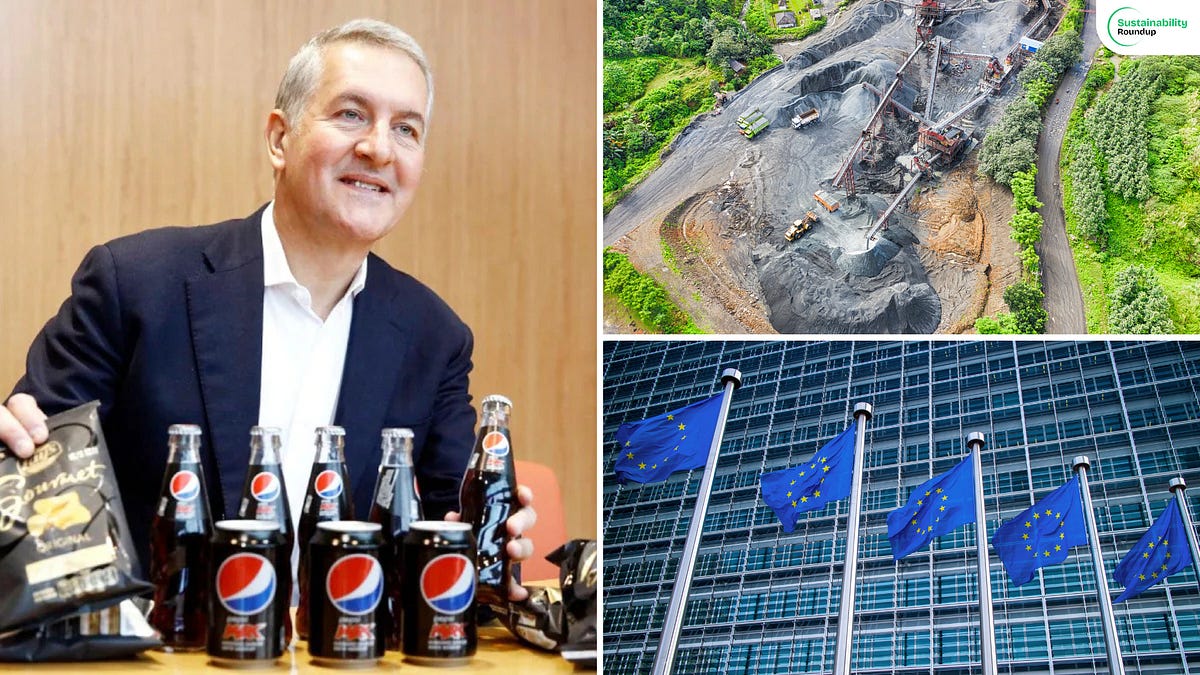 Is Sustainability Long Term Risk Management? PepsiCo CEO Suggests