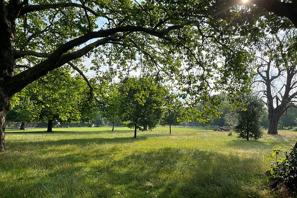 Char’s Corner | Charlotte Amelie | Substack