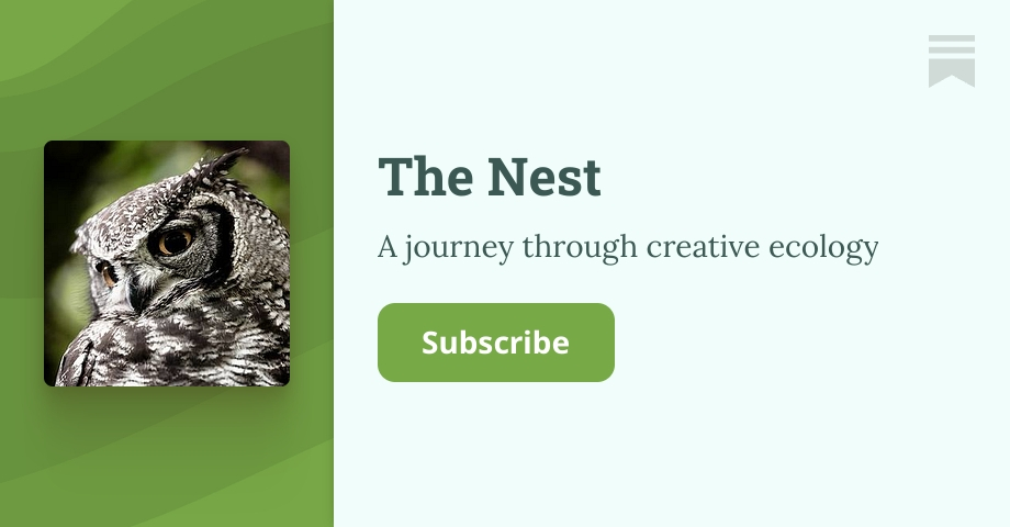 The Nest | Peter Shepherd | Substack
