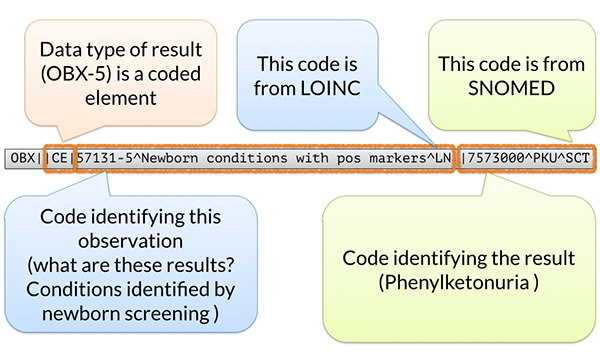 What is LOINC and How It Enables Health Data Exchange
