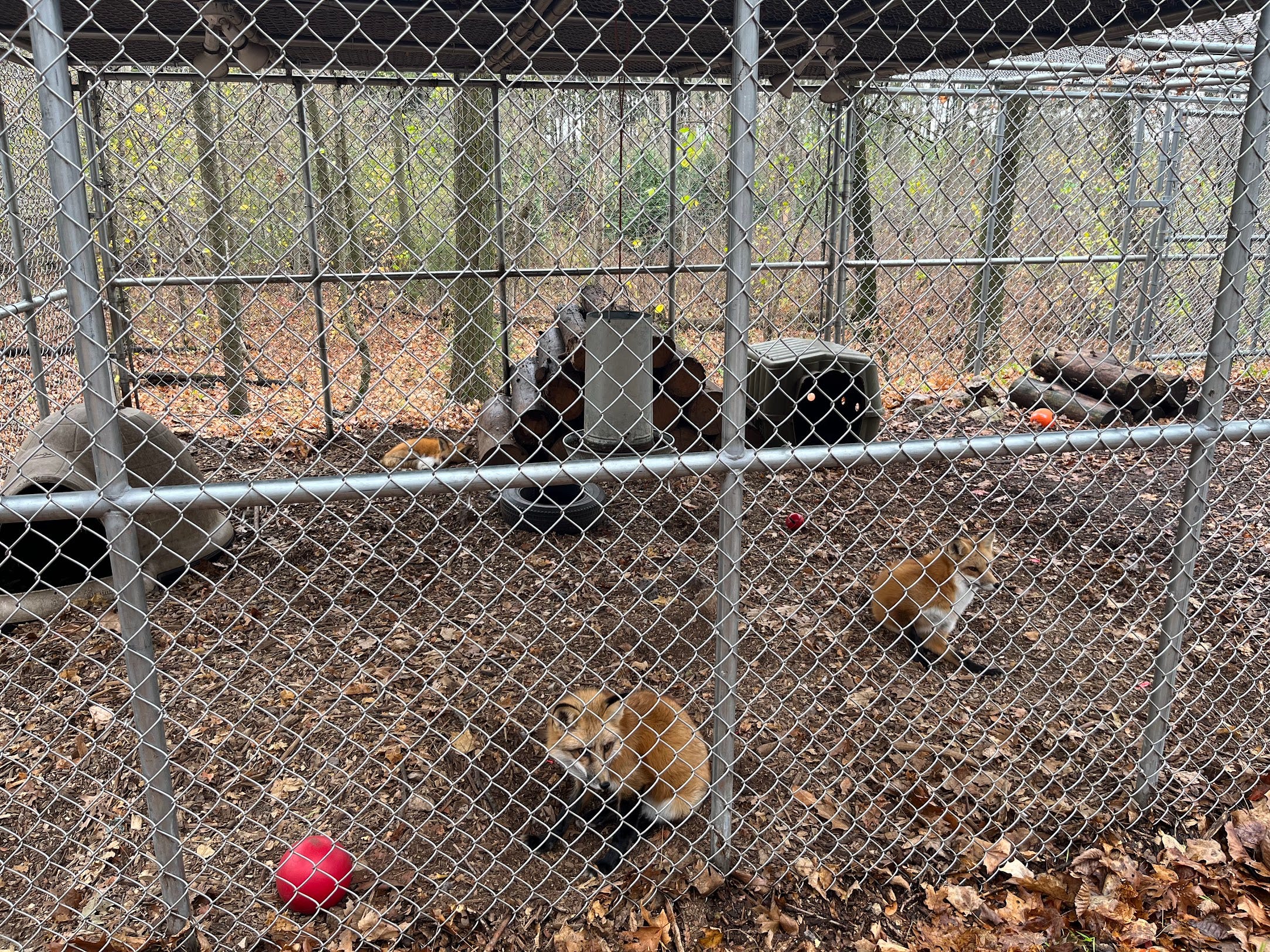 Wisconsin's most famous roadside zoo is a sad place
