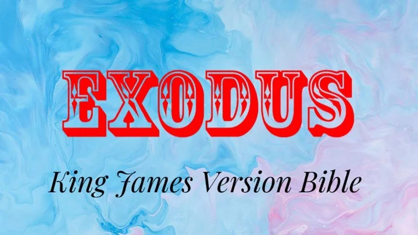 How Does the Book of Exodus Define True Freedom?