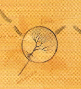 There's Treasure Inside Appalachian Footpath Treasure Box Theories