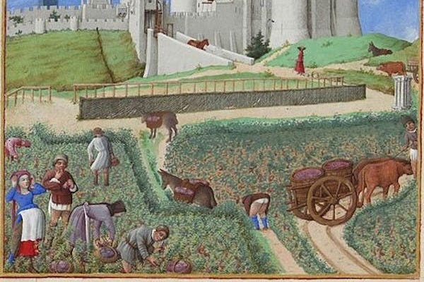 Cultural Capital | James Marriott | Substack