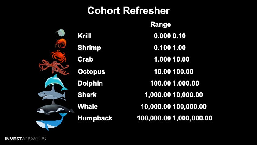 RECAP: ₿ITCOIN WEALTH PYRAMID - InvestAnswers Newsletter