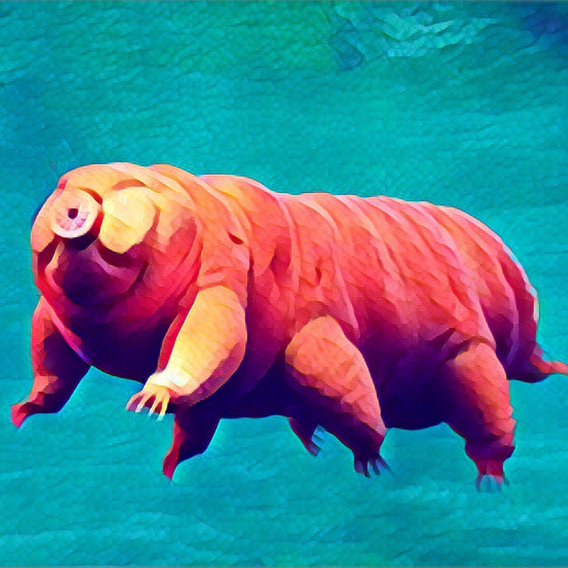 Gibrán X. Rivera | Substack