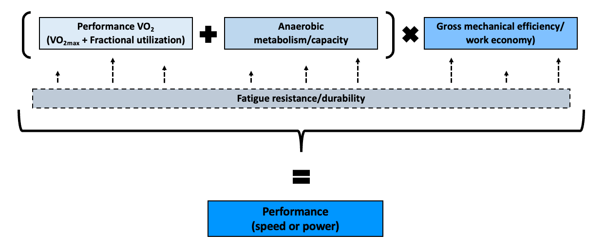 The performance equation: Introducing the key determinants of endurance ...