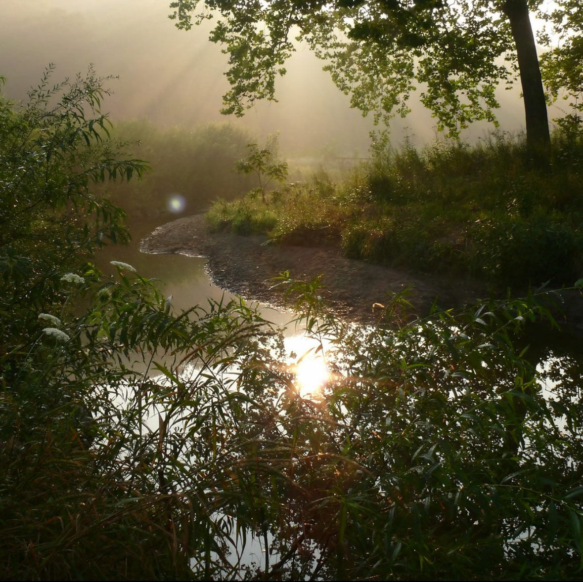 What are the 3 A’s? - by j.e. moyer, LPC