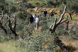 The Palestine Chronicle | Substack