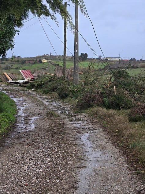 Storm Kristin Tried. - by Julie Dyer - Julie's Substack