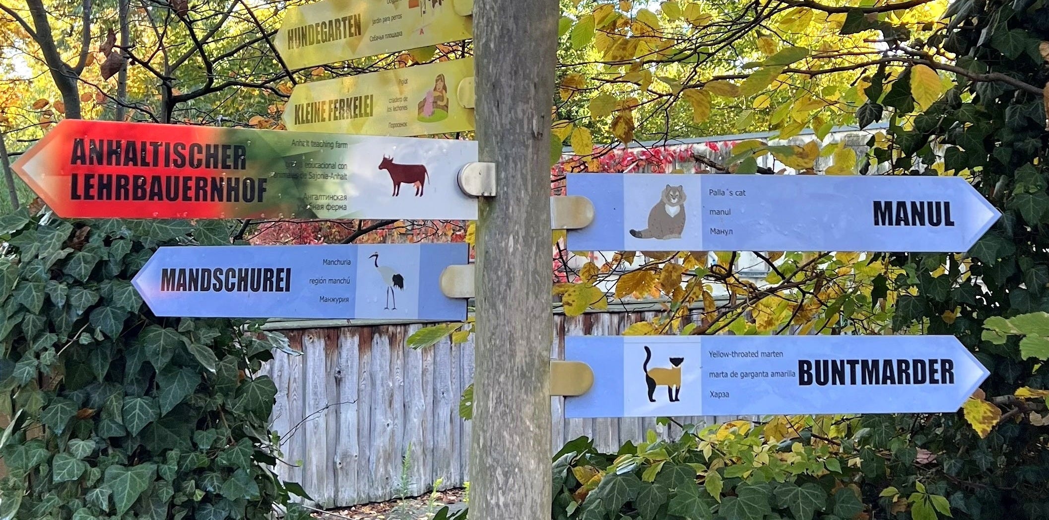 Exciting changes ahead at Tierpark Dessau - Pazi's Pallas