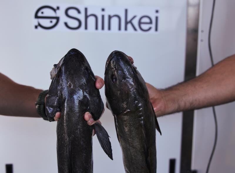 How AI and Robotics Are Rebuilding America's Food Supply Chain