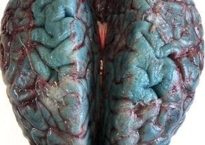 Elsa’s Astro Weather, Etc | ElsaElsa | Substack