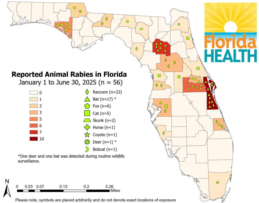 Florida reports 56 animal rabies cases in the 1st half of 2025