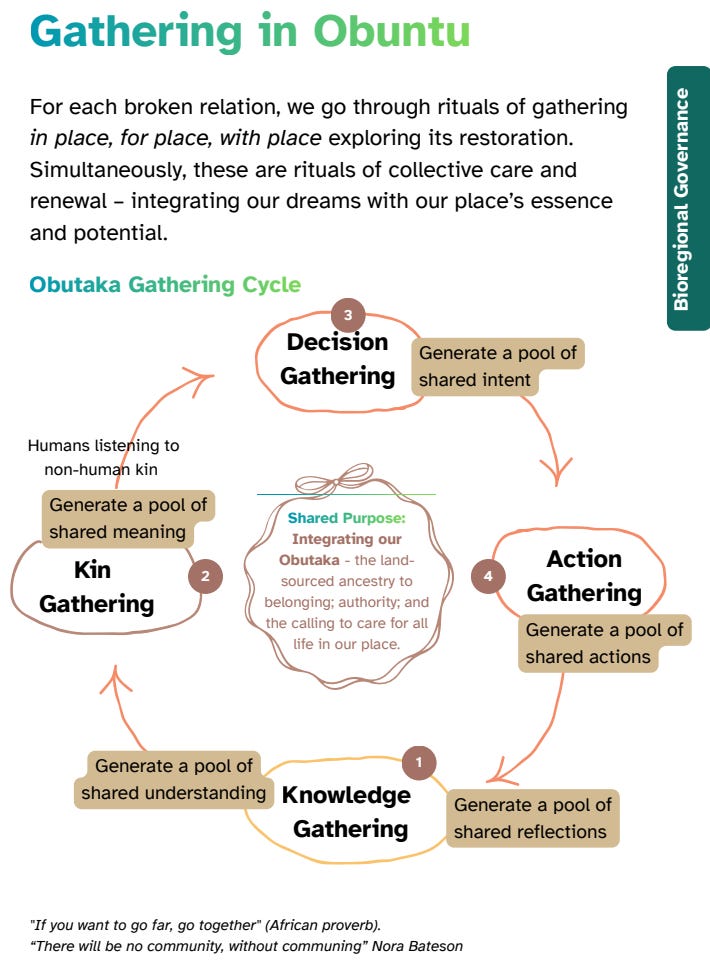 Listening to the web of life: Restoring a lost human capacity of caring ...