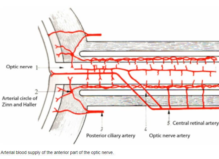 Altitudinal visual field defect – assessment and clinical significance