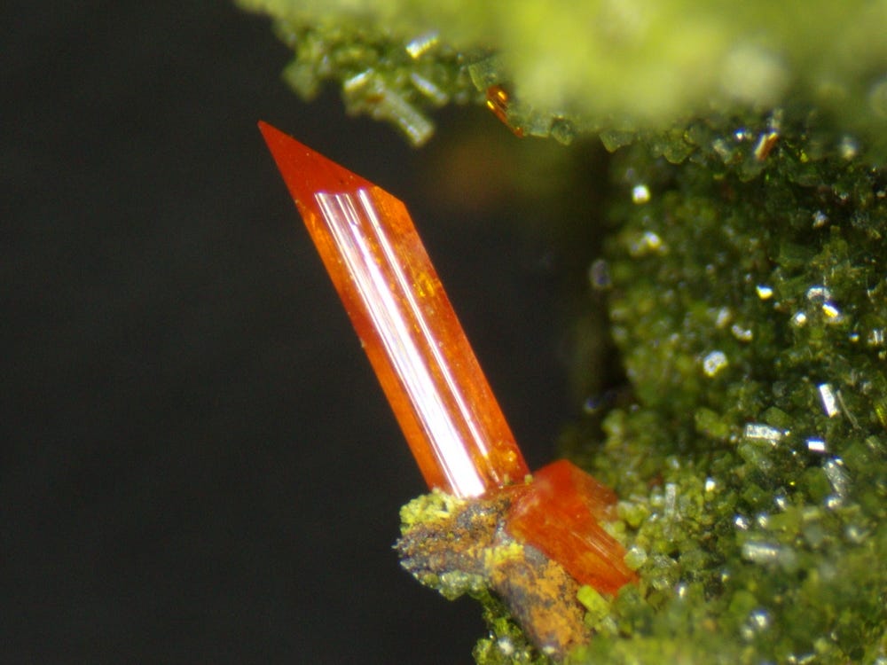 Steve Sorrell | Substack