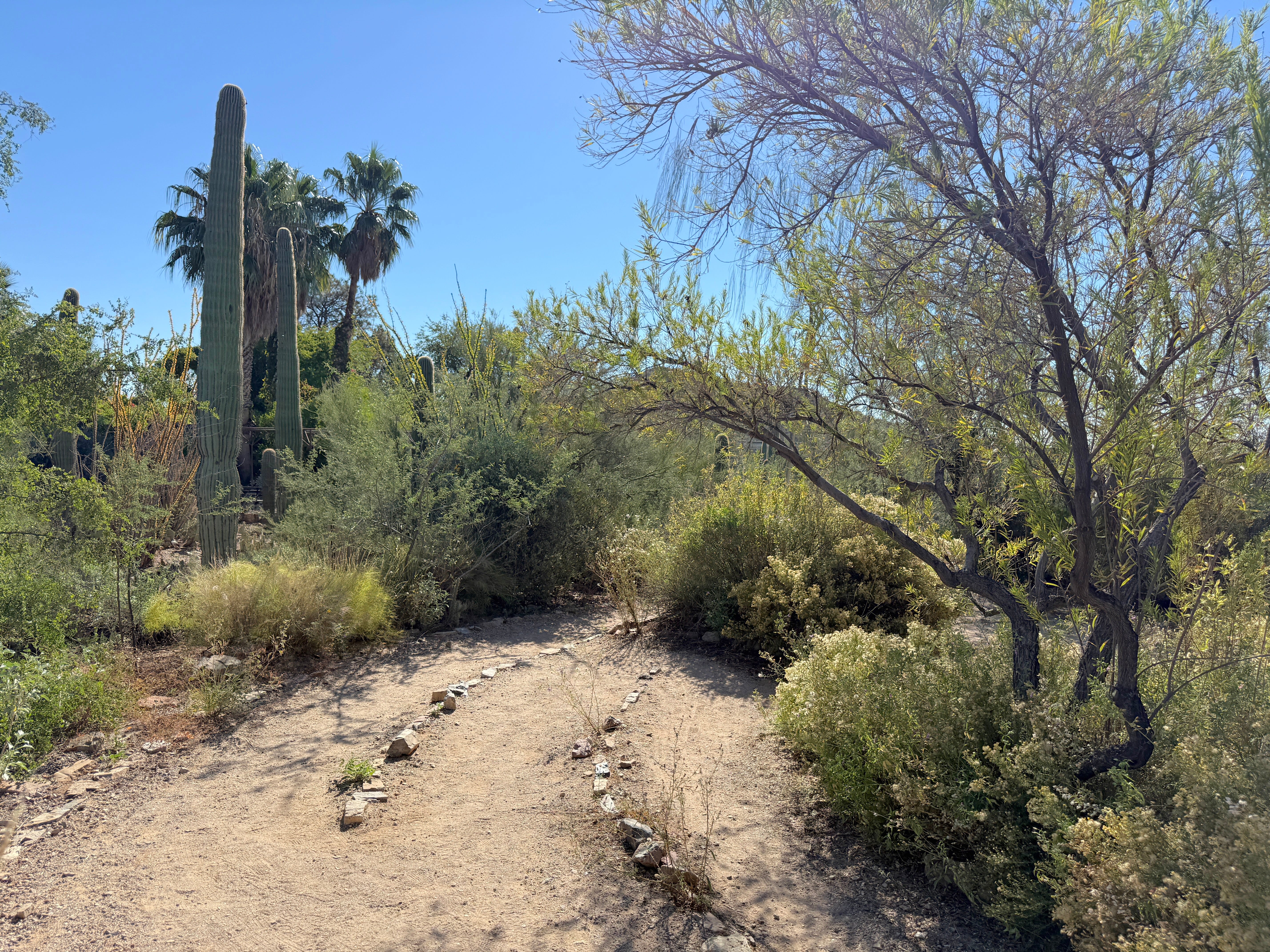 The Arizona-Sonoran Desert Museum--An Oasis of Desert Wonders
