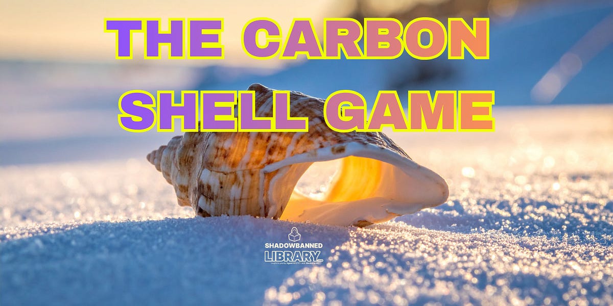 The Carbon Shell Game - Medicine Girl’s Substack