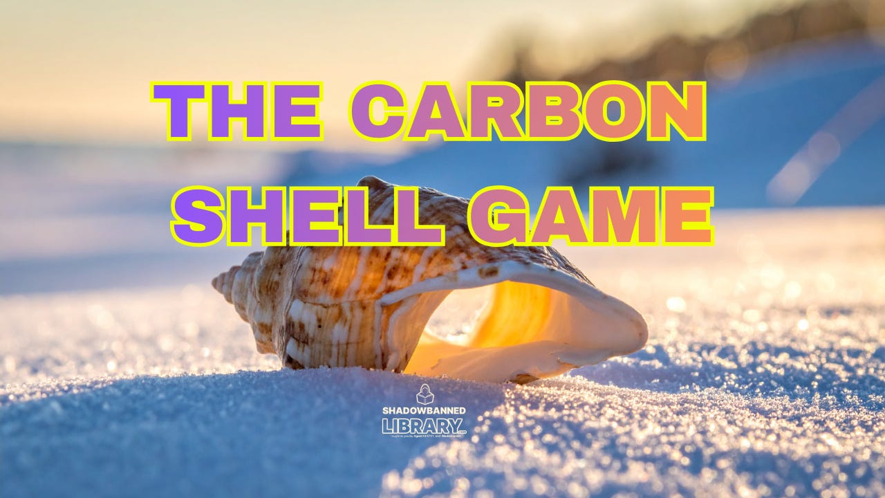 The Carbon Shell Game - Medicine Girl’s Substack