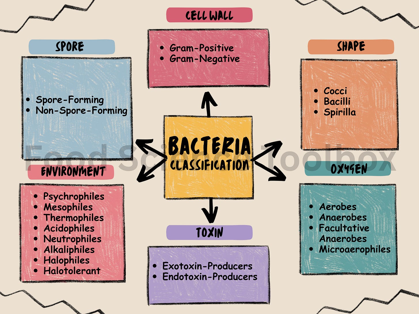 This One Infographic Will Transform Your Class
