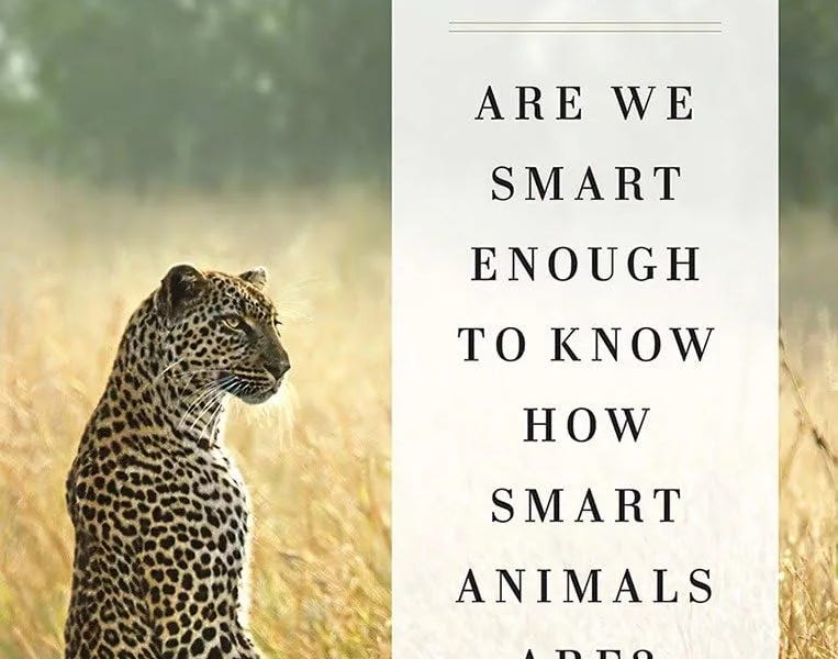 Are We Smart Enough to Know How Smart Animals Are? — A review and tangents