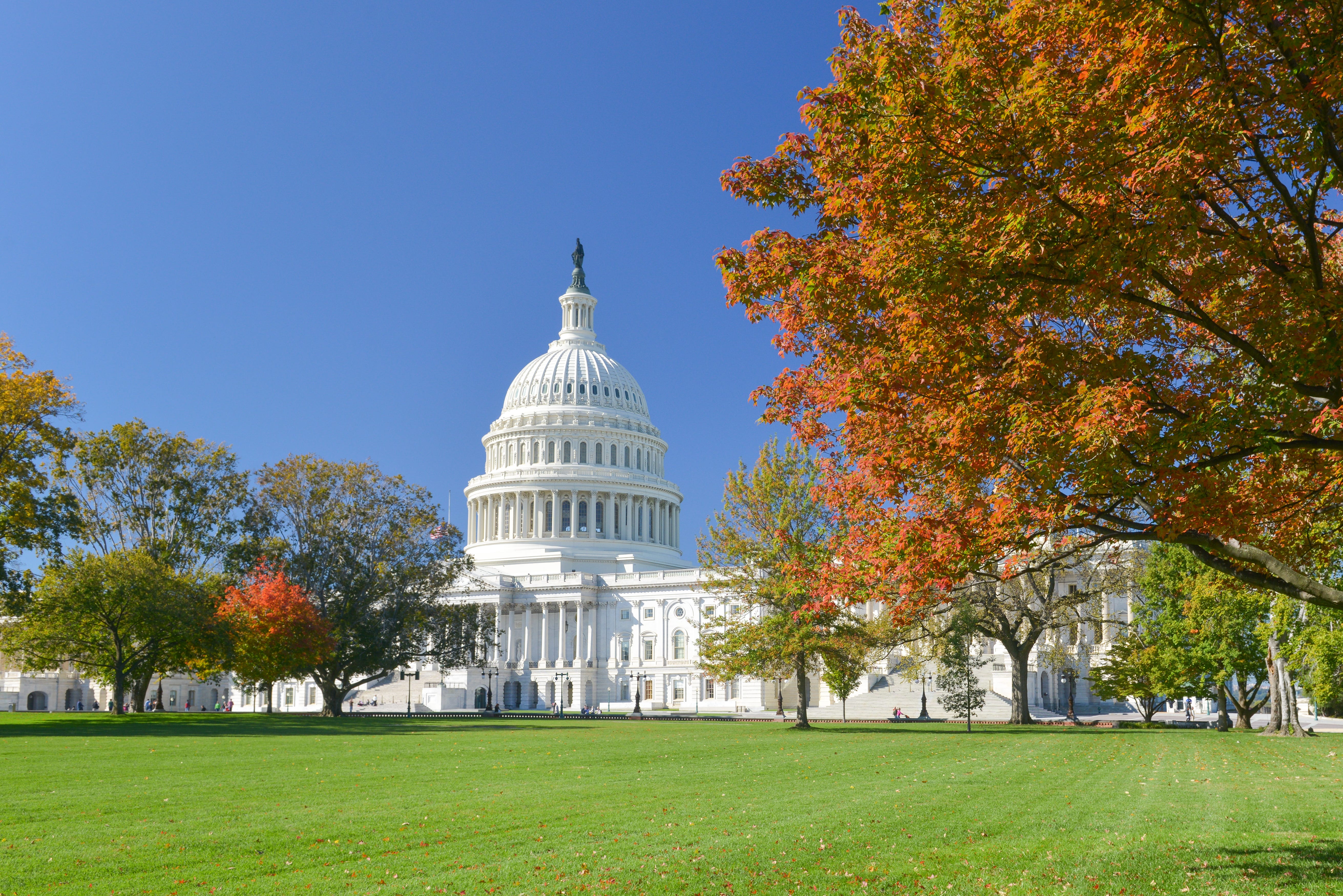 CONGRESS'S QUAGMIRE, CAUSES A - Congress is Vital