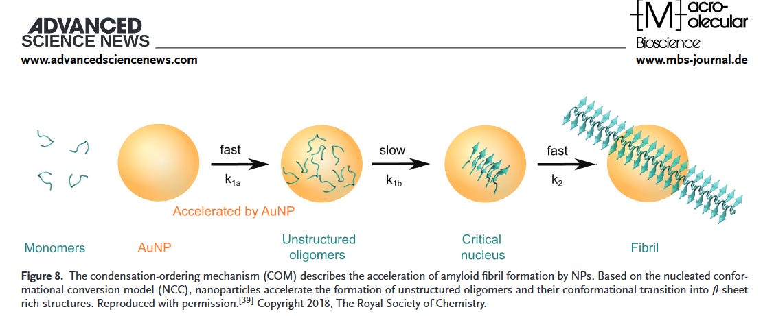 Darkfield Microscopy Shows Self Assembly Of Microfilament In C19 ...