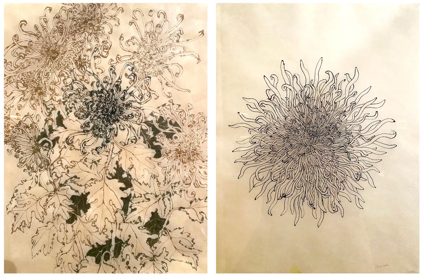 Ruth Asawa's Flowers - by Wendy MacNaughton