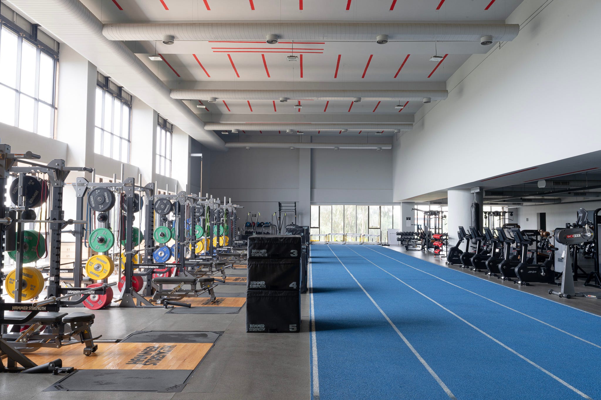 ACG-BFI Unveils 'India Basketball League' and High Performance Centre