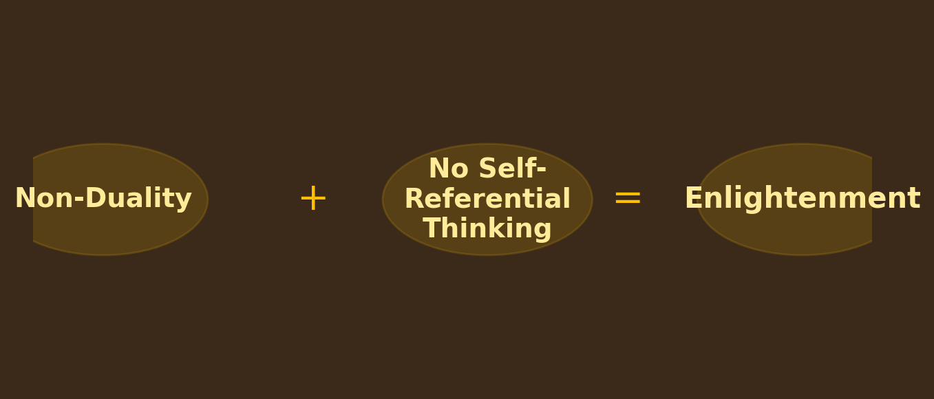 A No BS Guide to Non-Dual Awareness - Elias Lumen