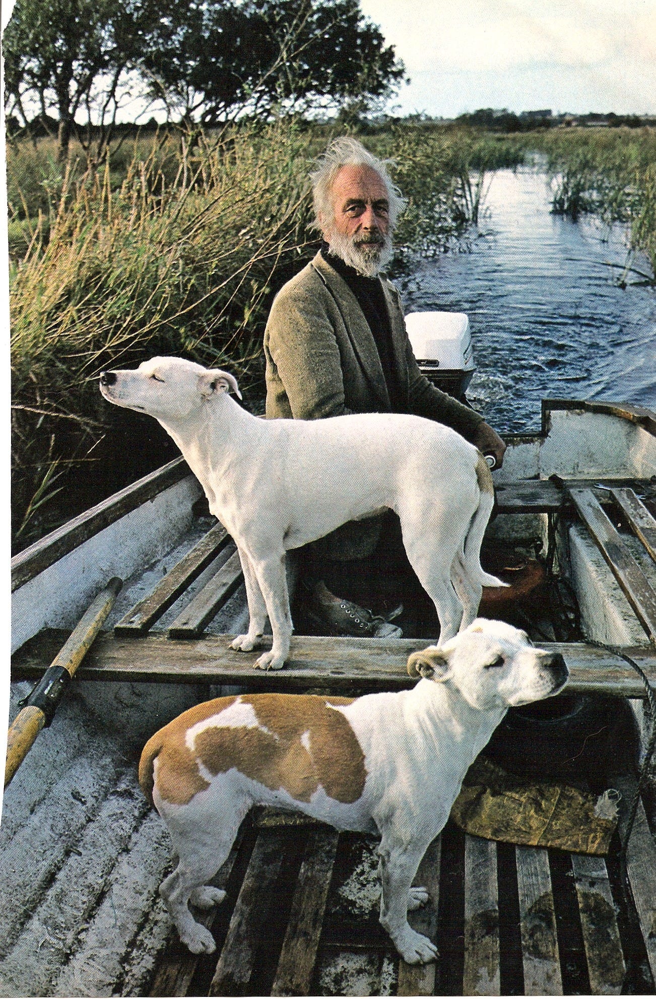 The Goodfellas Painting: A Life Uncovered - by Alex Godfrey