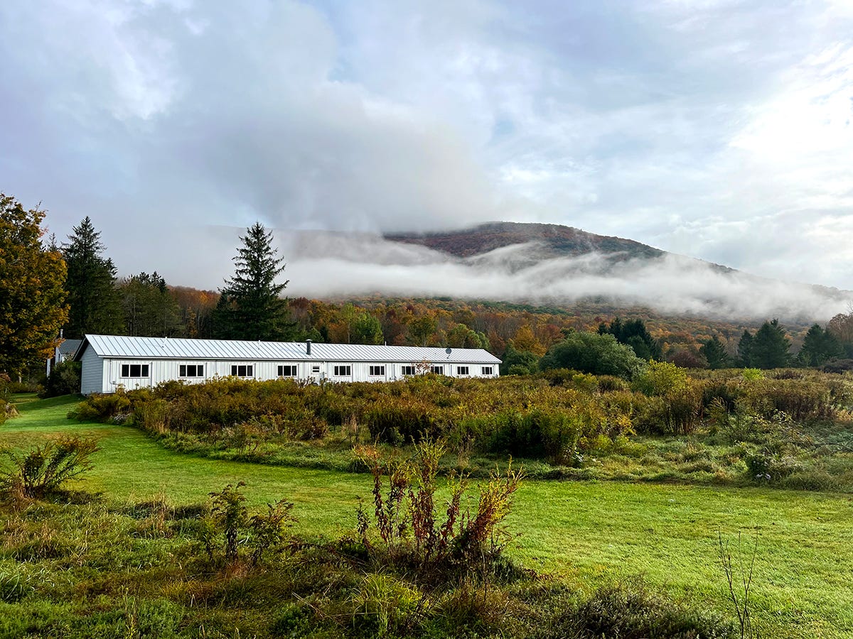 Top Five Motels in the USA, According to Casey from Spruceton Inn 🌲