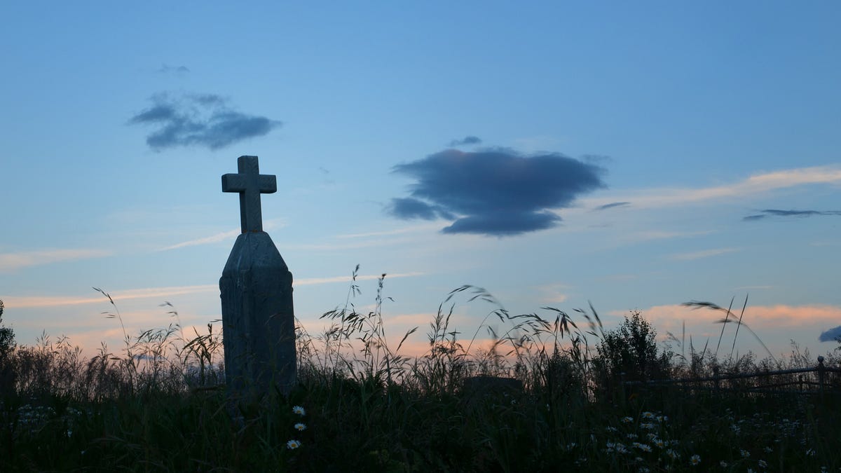 National Politics Is a Graveyard - by John Halpin