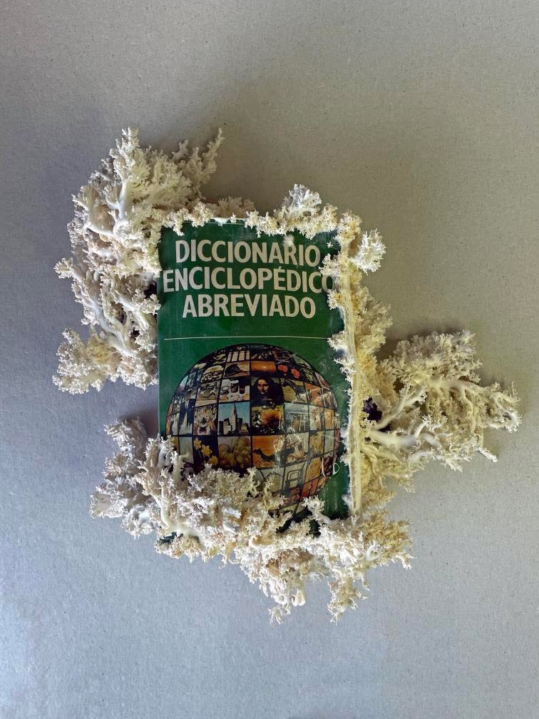 HIJOS NO HUMANOS - by Jorge Carrión - Solaris