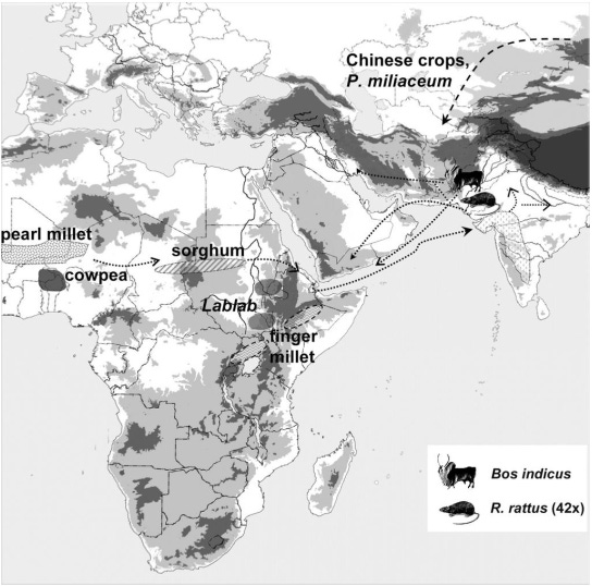 The invention of Agriculture in Africa: plant domestication and the ...