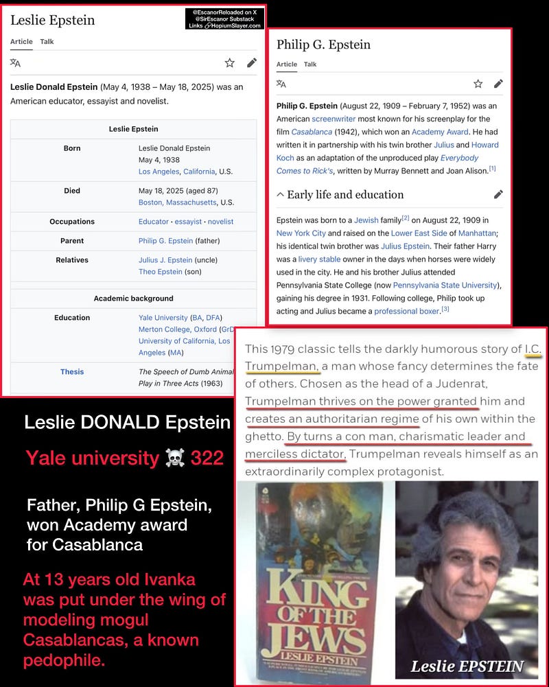 Sir Escanor (𝘏𝘰𝘱𝘪𝘶𝘮 𝘚𝘭𝘢𝘺𝘦𝘳) (@sirescanor): "A strange rabbit hole ...