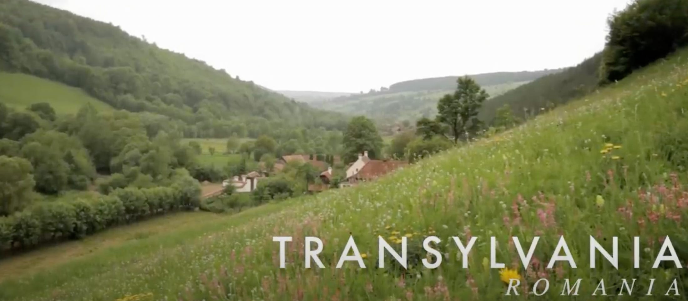Staying With The King In Transylvania - Rod Dreher's Diary