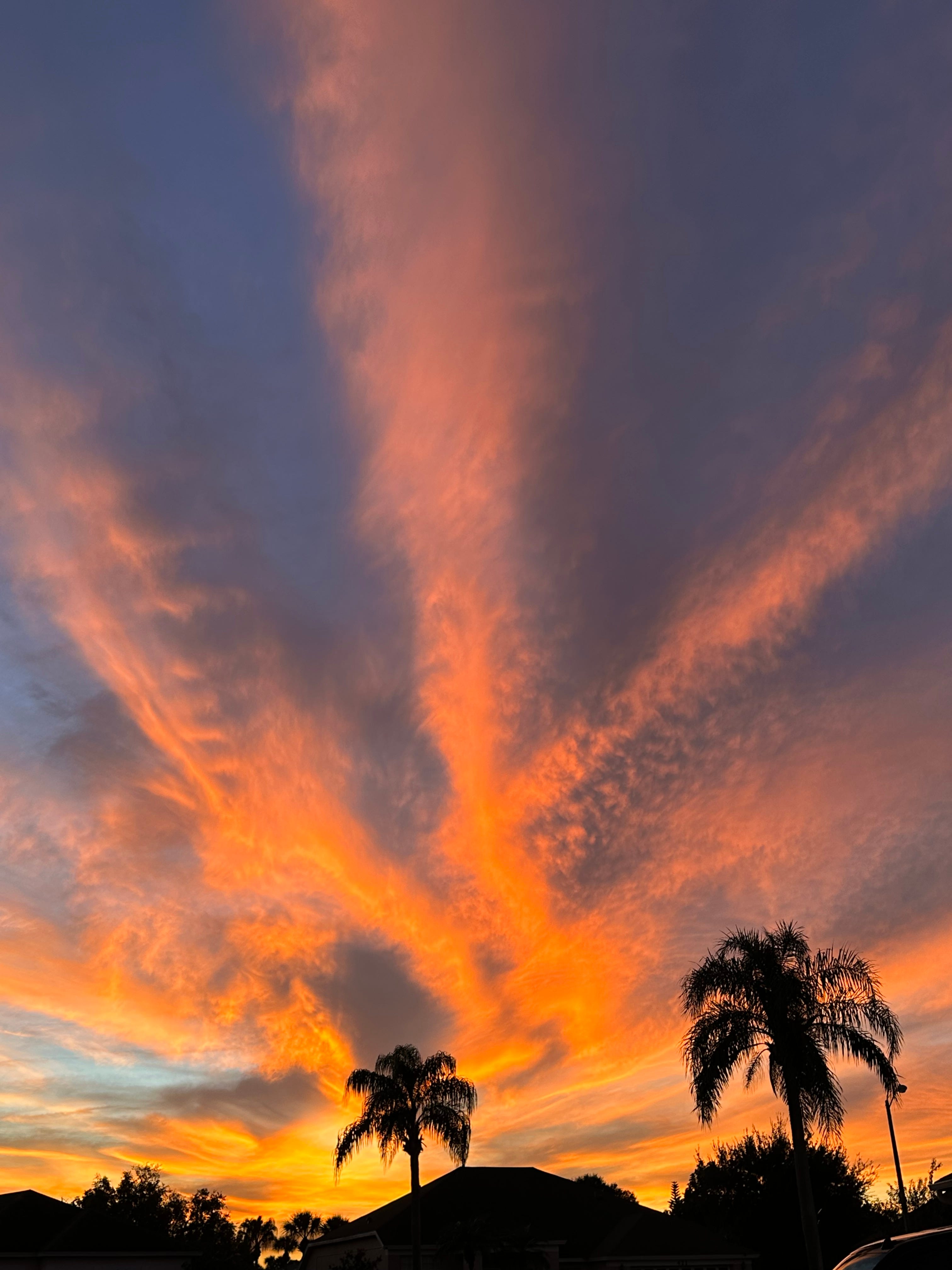 Gratitude - Wise Guides—Steven Riddle