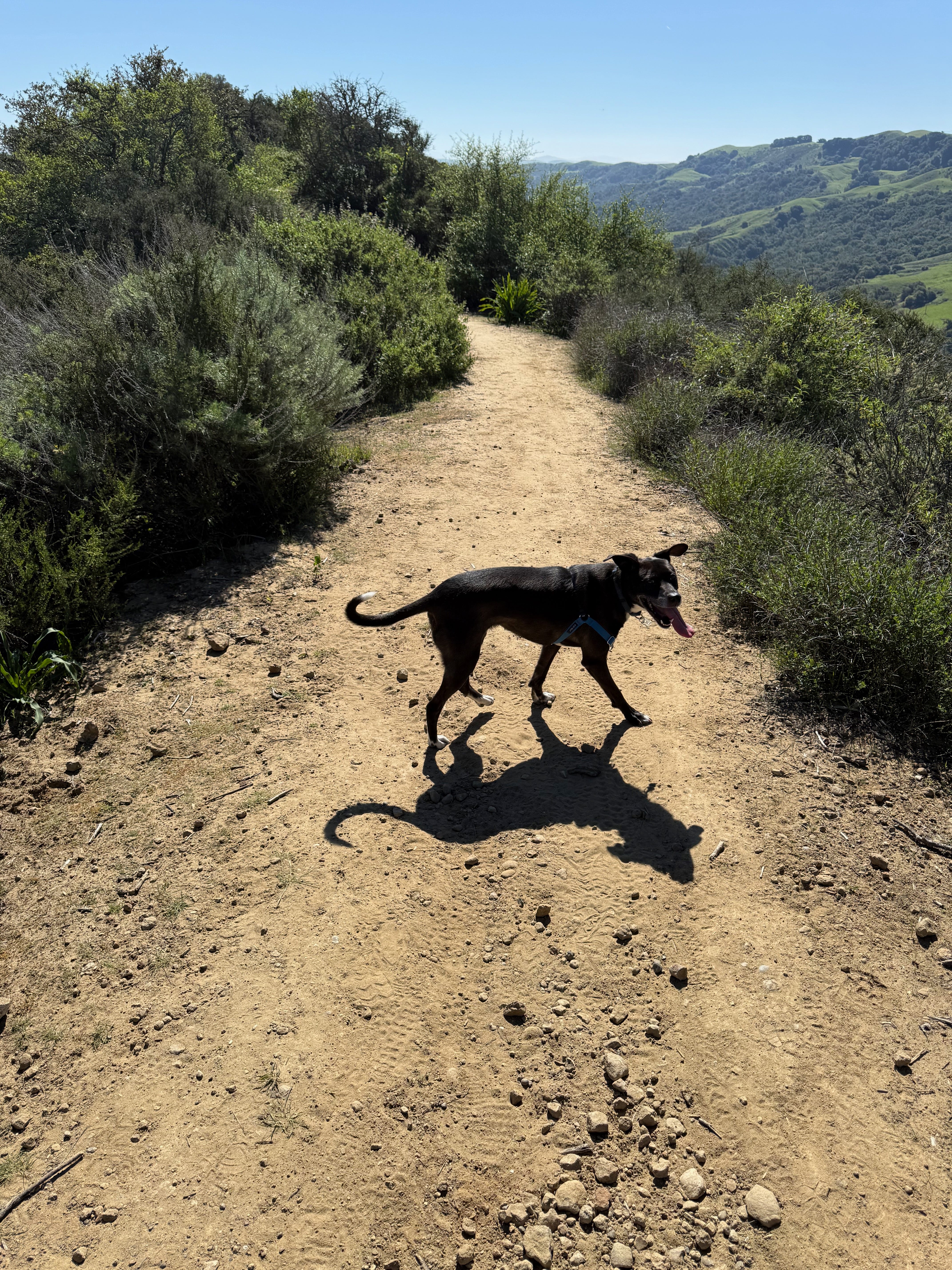 The Long and Short of Goodbyes - by Molly Baskette