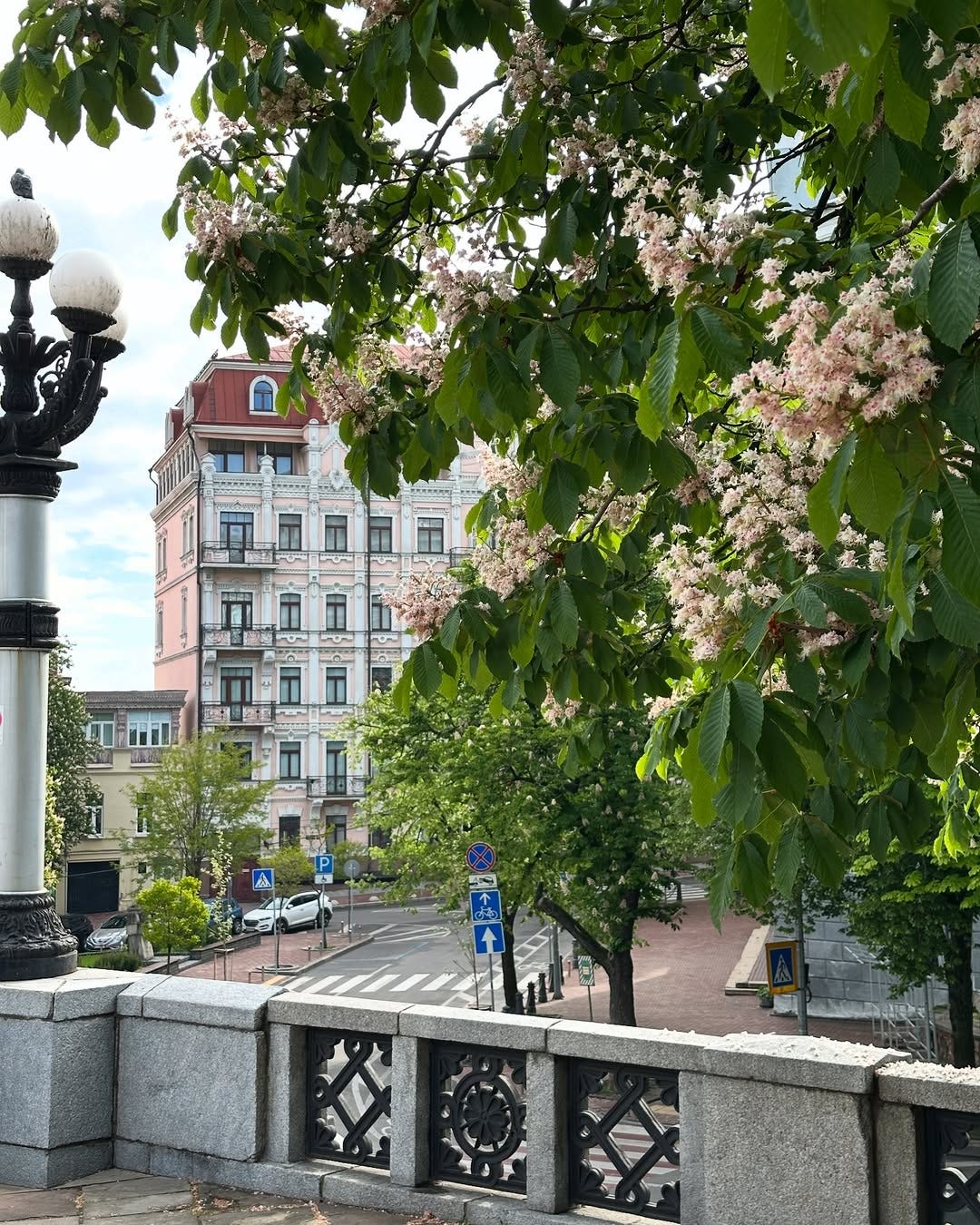 How chestnut trees became a symbol of Kyiv
