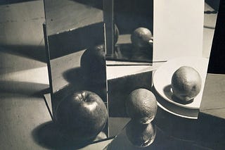 Dead Horses | David Cole | Substack