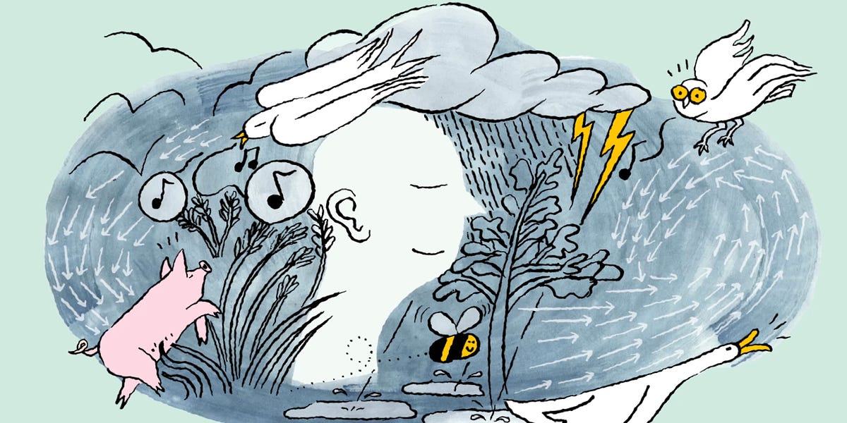 Filter out the noise, and let the animals in