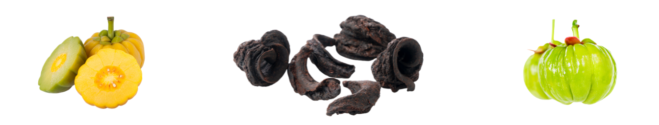 Malabar Tamarind, Kodampuli or Goraka Science Corner