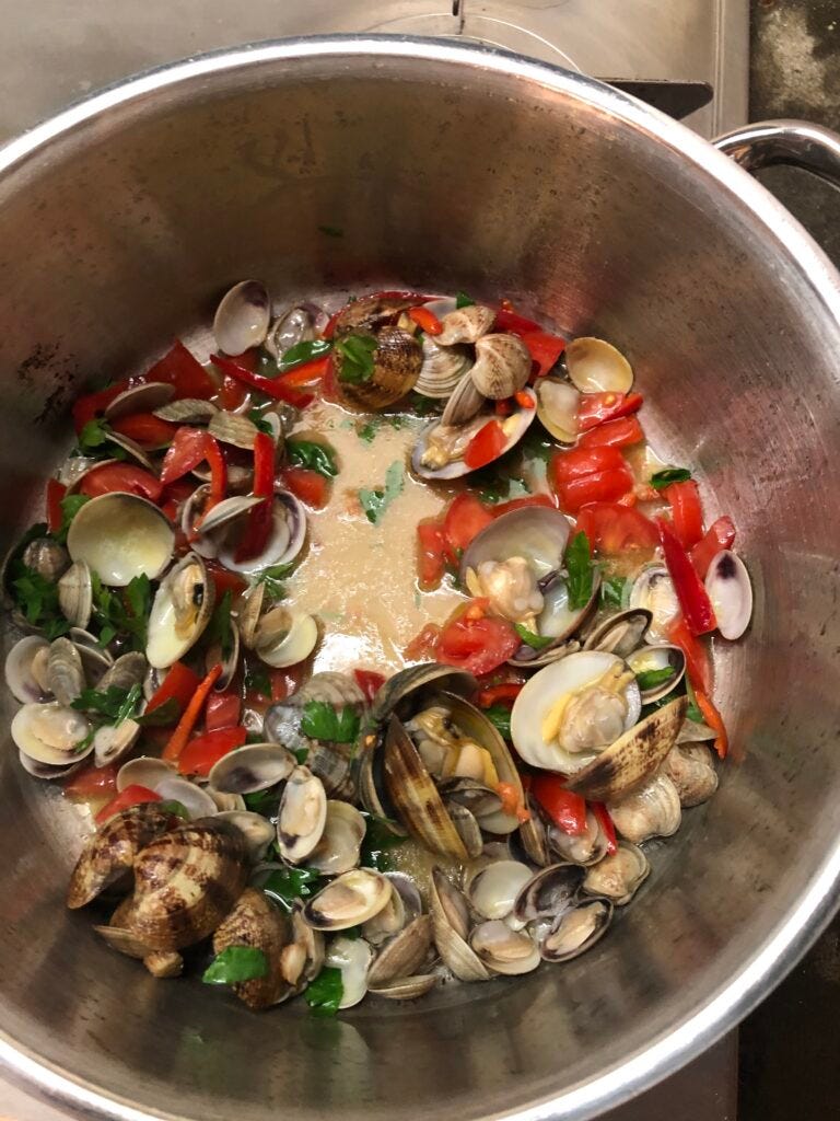 The battle of the Clams - by Pia Whitmartlet