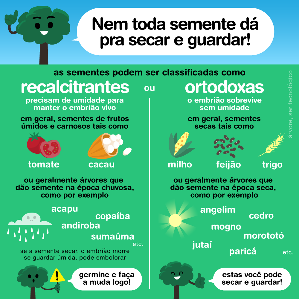 Nem toda semente dá pra secar e guardar!